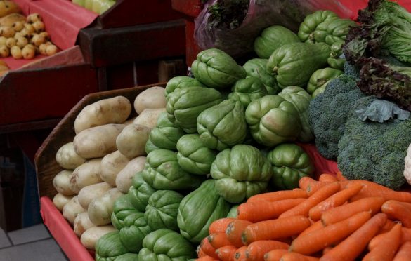 The Saffron TouchWorld cuisine with an Indian touch...Mercado Ignacio ...